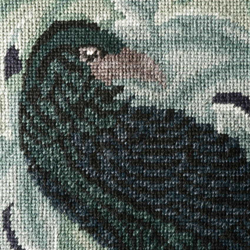 Raven